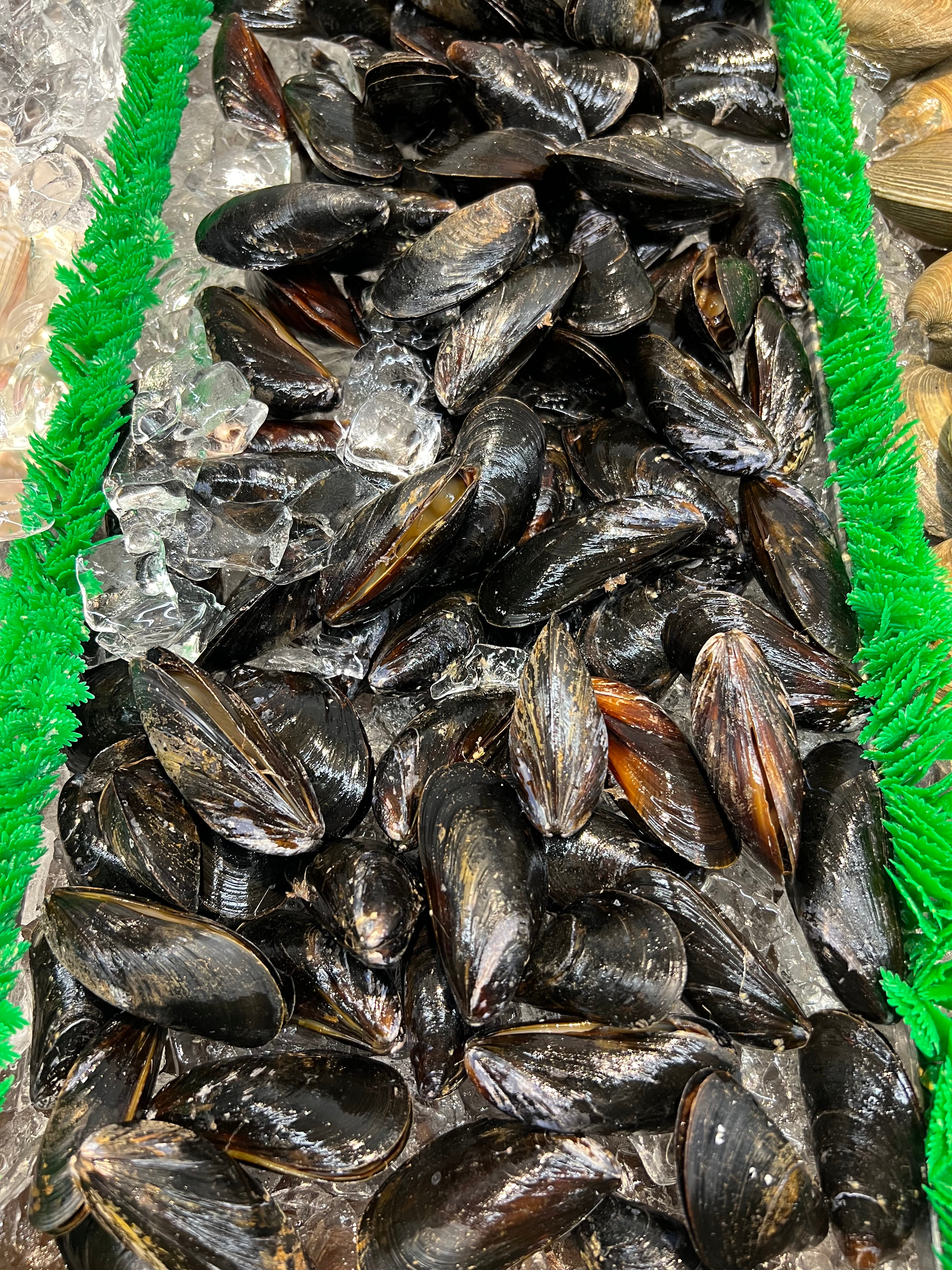 Fresh Seafood – Manuel's Fish Market